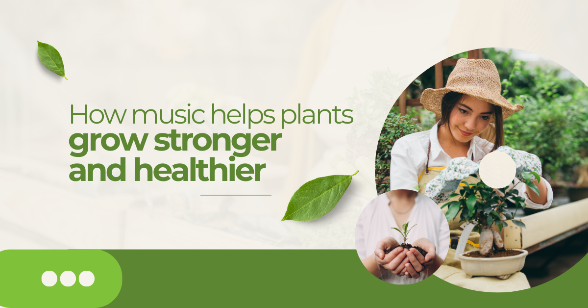 How music helps plants grow stronger and healthier - krutimehta.in