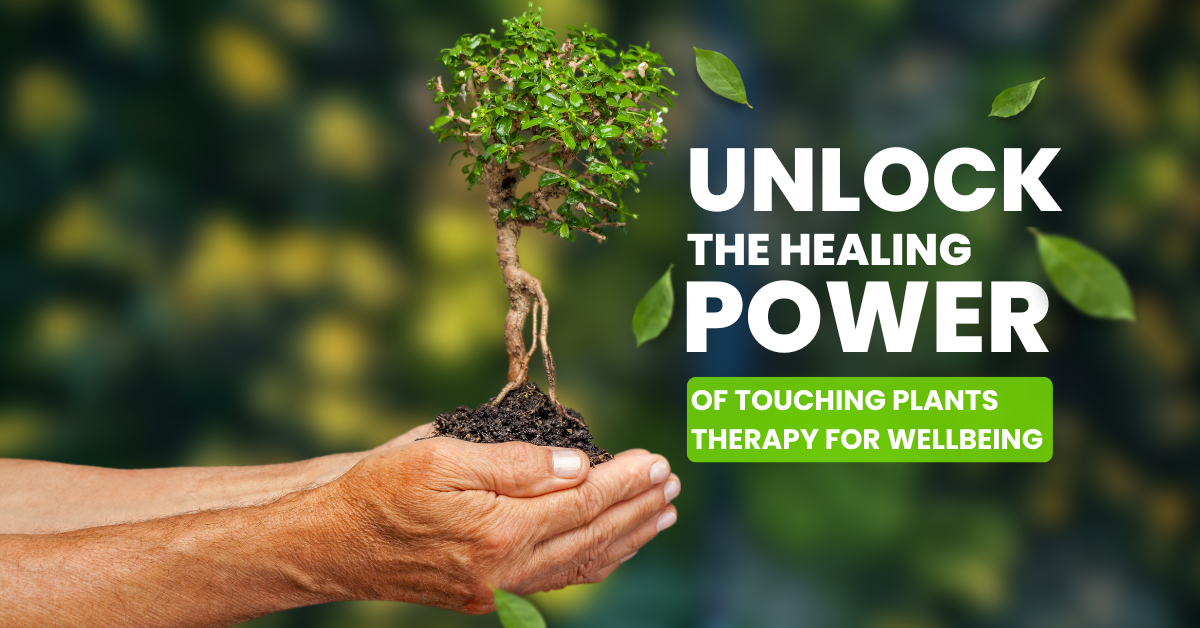 Unlock the Healing Power of Touching Plants Therapy for Wellbeing - krutimehta.in
